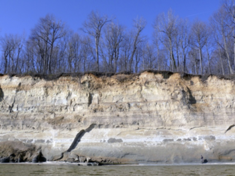 Fossils in life position (Part 1) – Paradigms on Pilgrimage